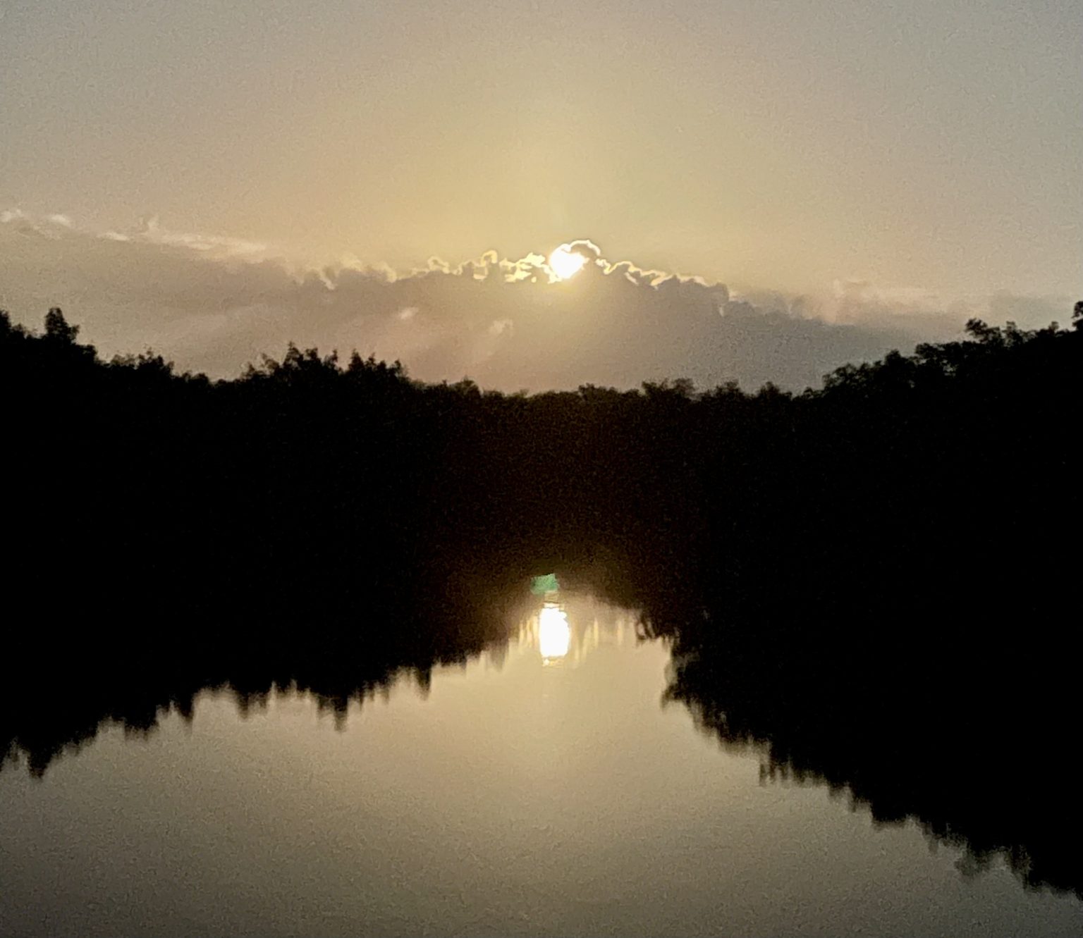Full Moon Bike Ride - Myakka River Motorcoach Resort